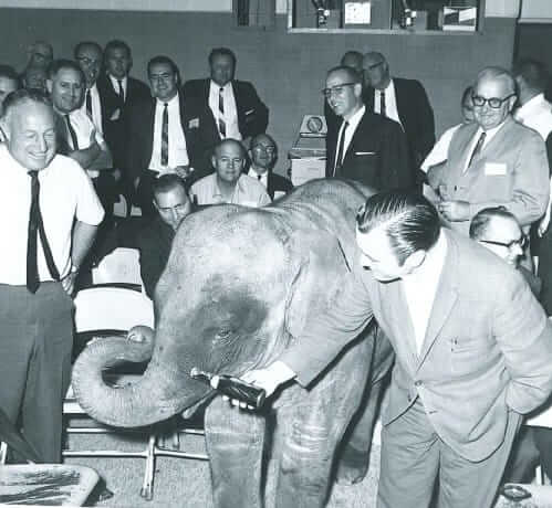 About Us - California Fuels & Convenience Alliance - CFCA: Home of the ...